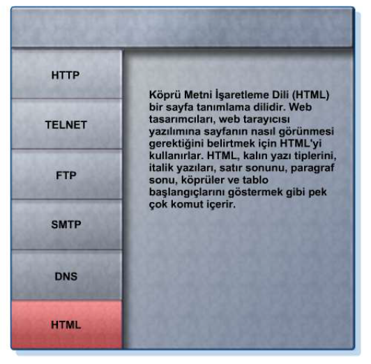 ebi: AĞ PROTOKOLLERİ