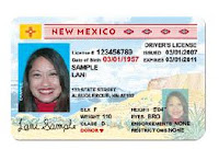 News New Mexico: The Case for Voter ID