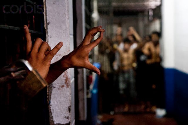 The World's Deadliest Gang: History