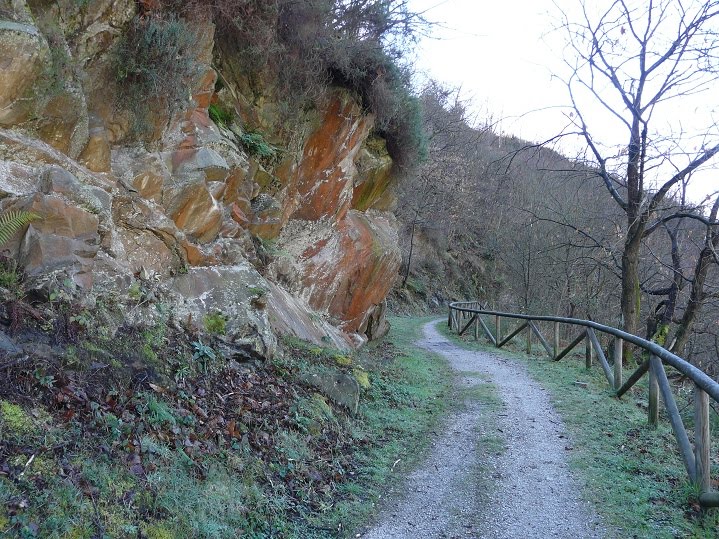 caminaresdejosua: SENDA VERDE DE TURÓN (de Figaredo a Puente Villandio).