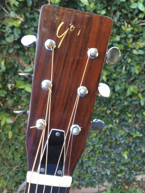 Rex and the Bass: Goya G-312 Acoustic Guitar Review