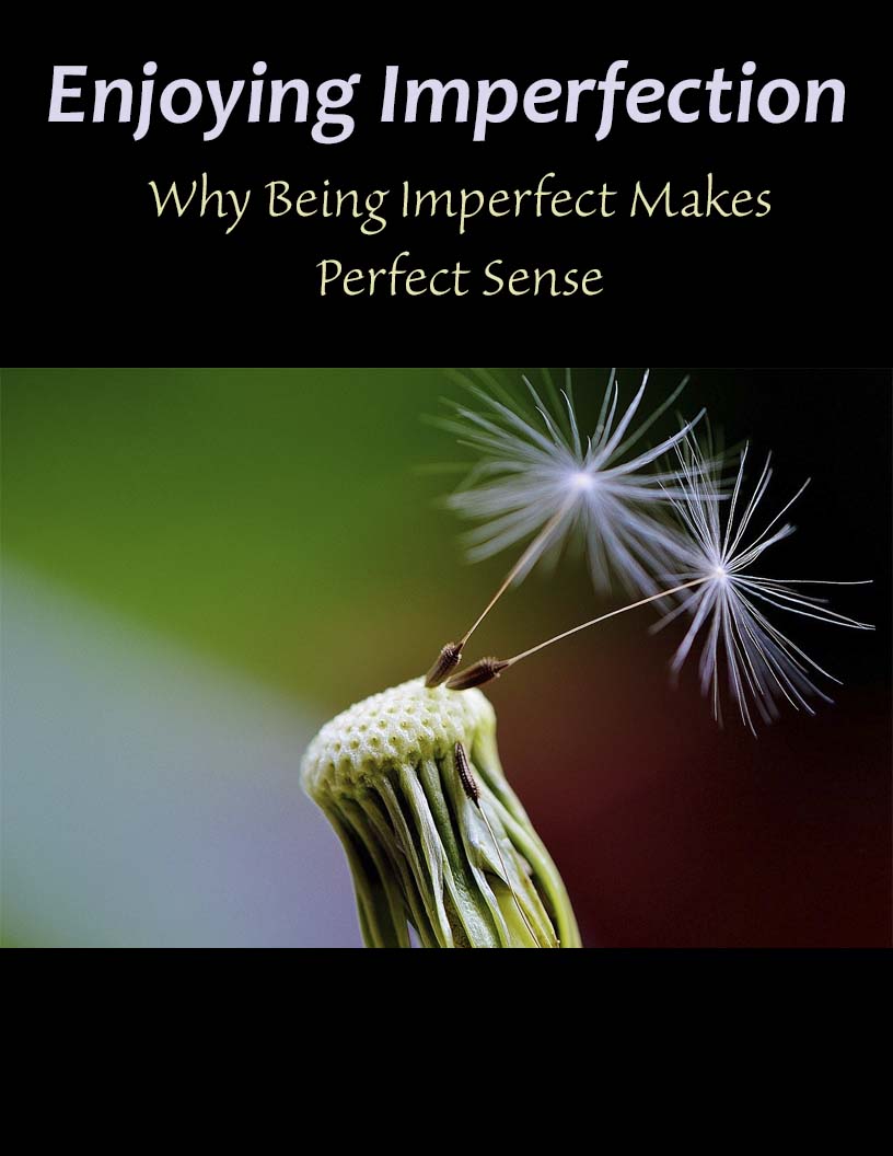 WHY BEING IMPERFECT MAKES PERFECT SENSE