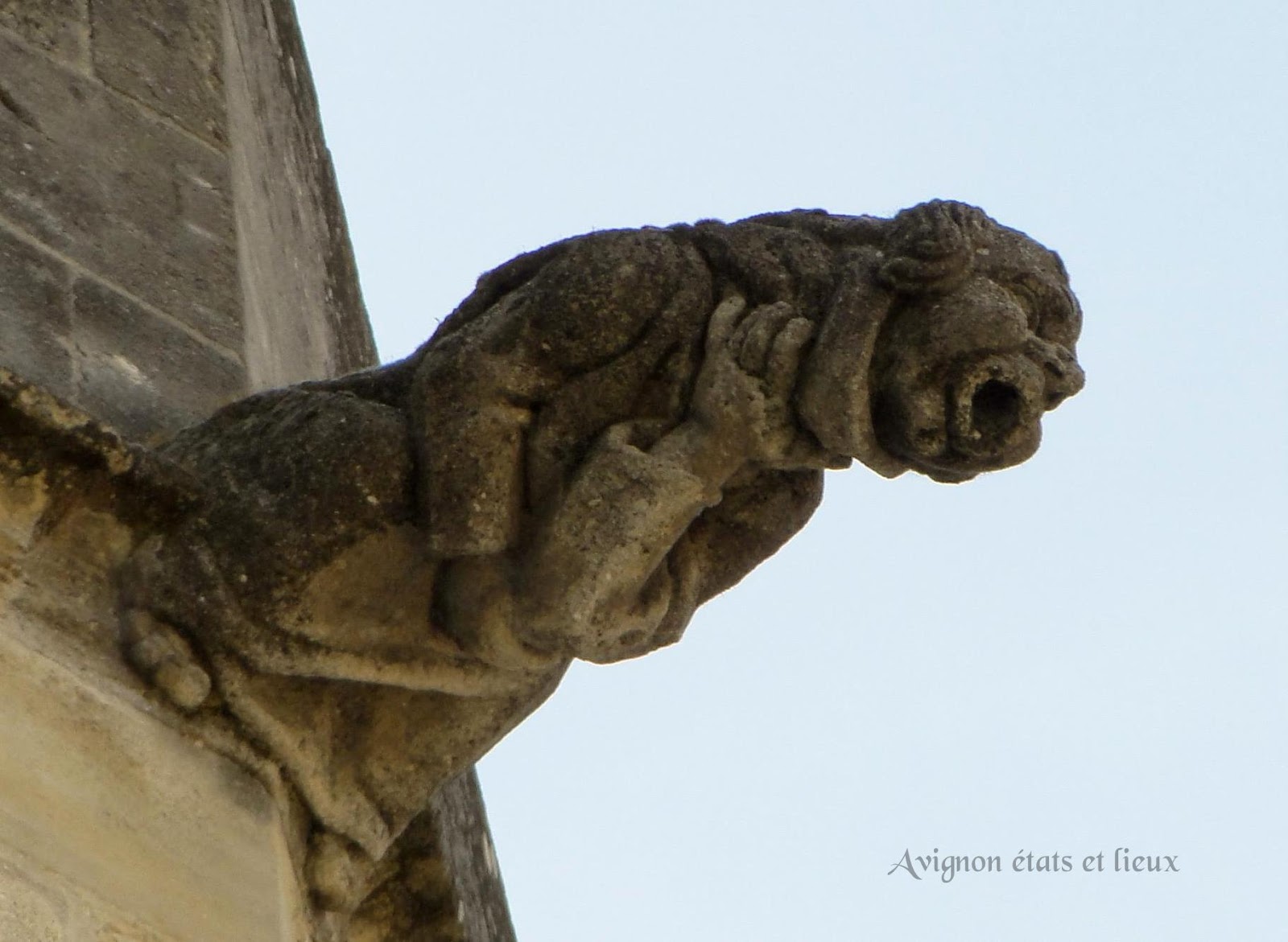 Impressions d'Avignon: Gargouilles