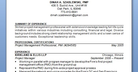 Best Project Manager Curriculum Vitae Format in Word Free Download