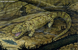 Los animales en la prehistoria: Animales prehistóricos con la letra A