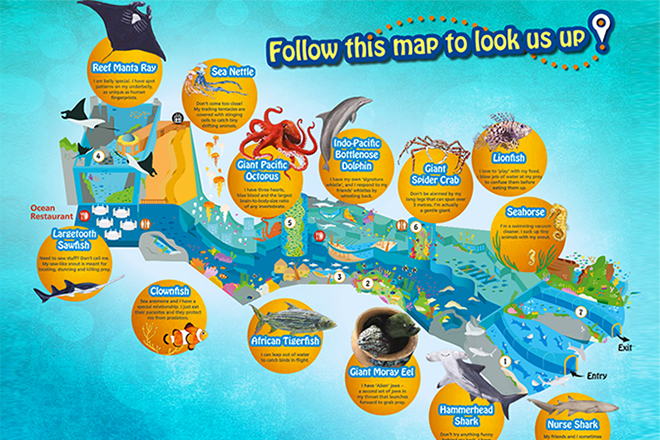 Melon Journey: South East Asia (S.E.A) Aquarium @ Singapore