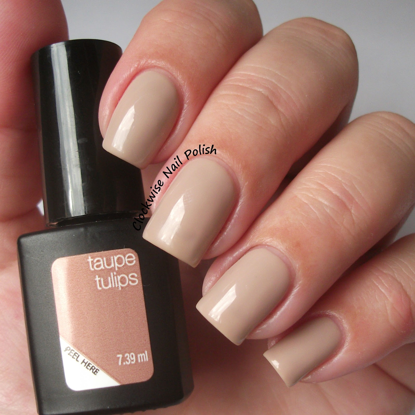 The Clockwise Nail Polish: SensatioNail Taupe Tulips Review & Feather ...
