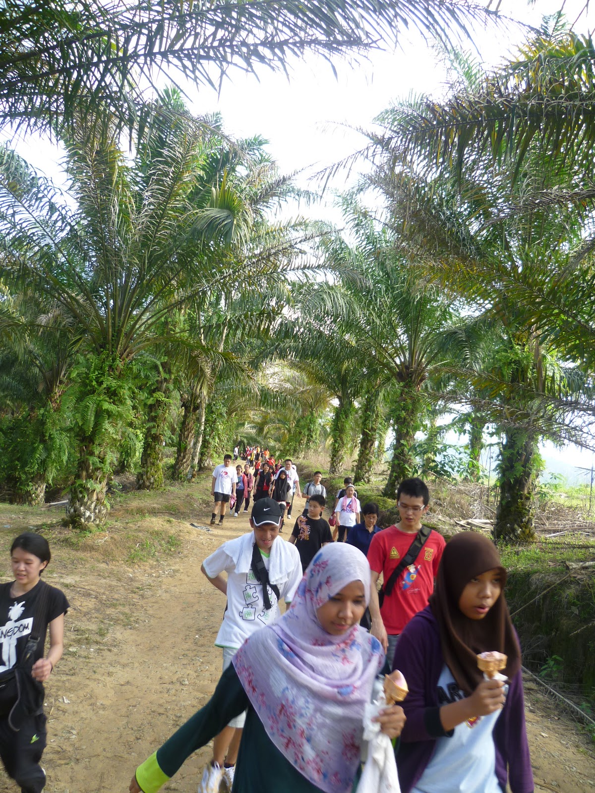 PENA CELORENG: Bukit Broga