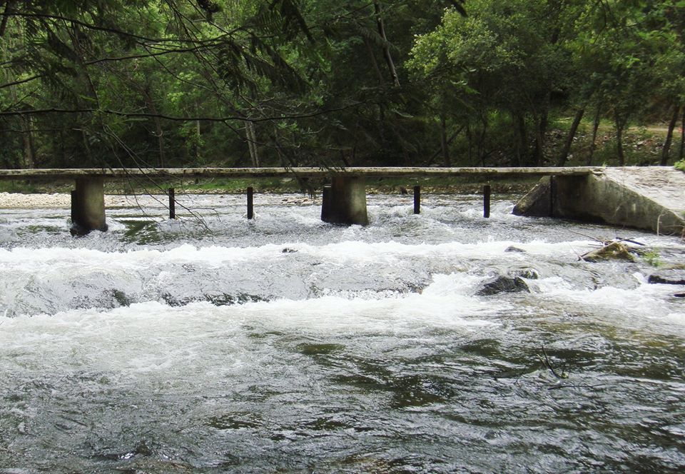 M O U R A M O R T A: O Rio Alva e os seus Efeitos