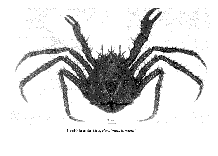 Artes de Pesca: agosto 2015