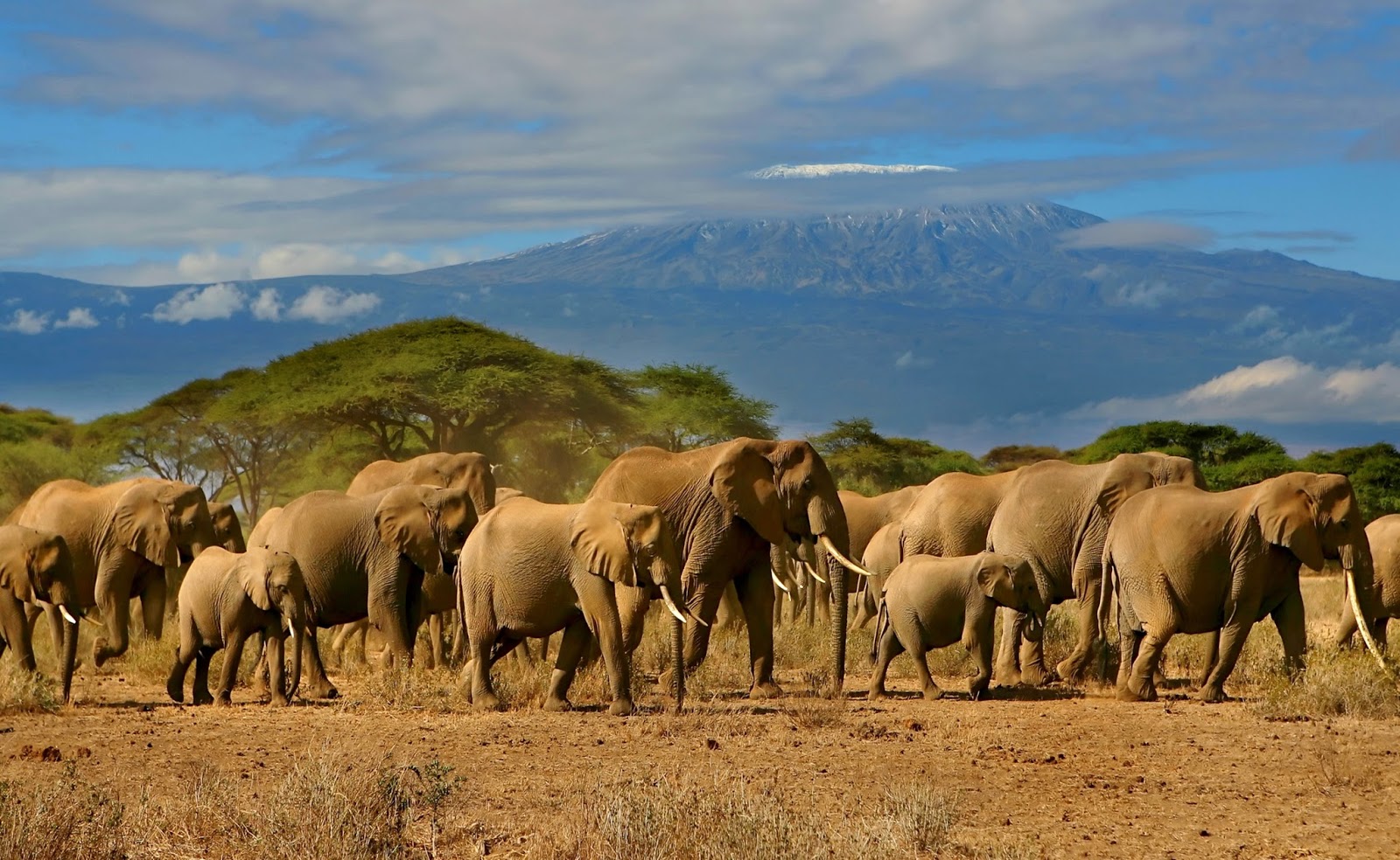 Travel & Adventures: Tanzania. A voyage to Tanzania, Africa - Serengeti ...