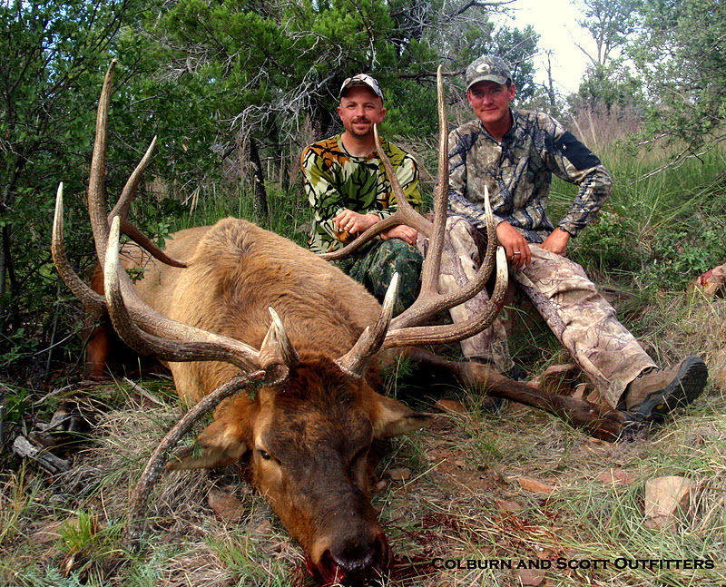 Colburn and Scott Outfitters: Terry Chapman 372" AZ Archery Bull Elk