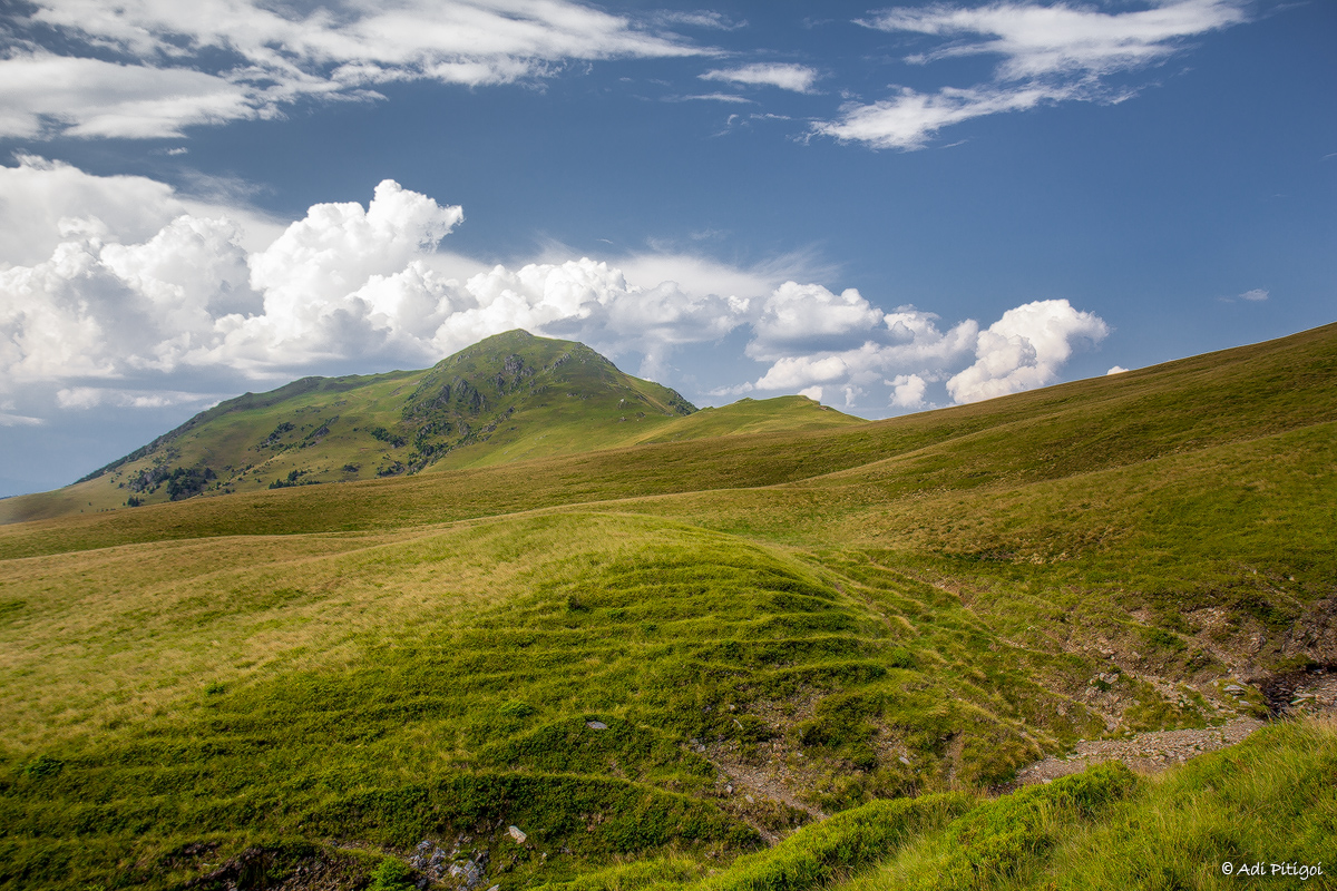 Munții Maramureșului: Lacul Vinderel, drumeție de o zi (2 august 2014 ...