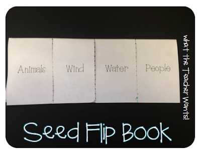 What the Teacher Wants!: Seeds and Plants GALORE!