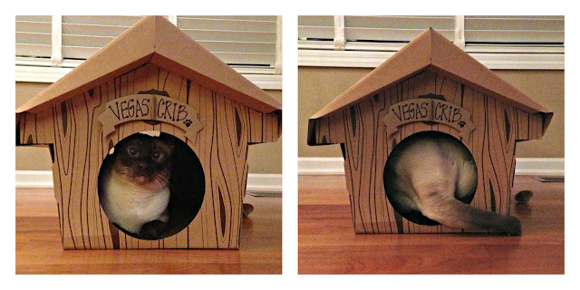 JENNIFER'S DELIGHTS OF LIFE: THE MODERN CAT HOUSE