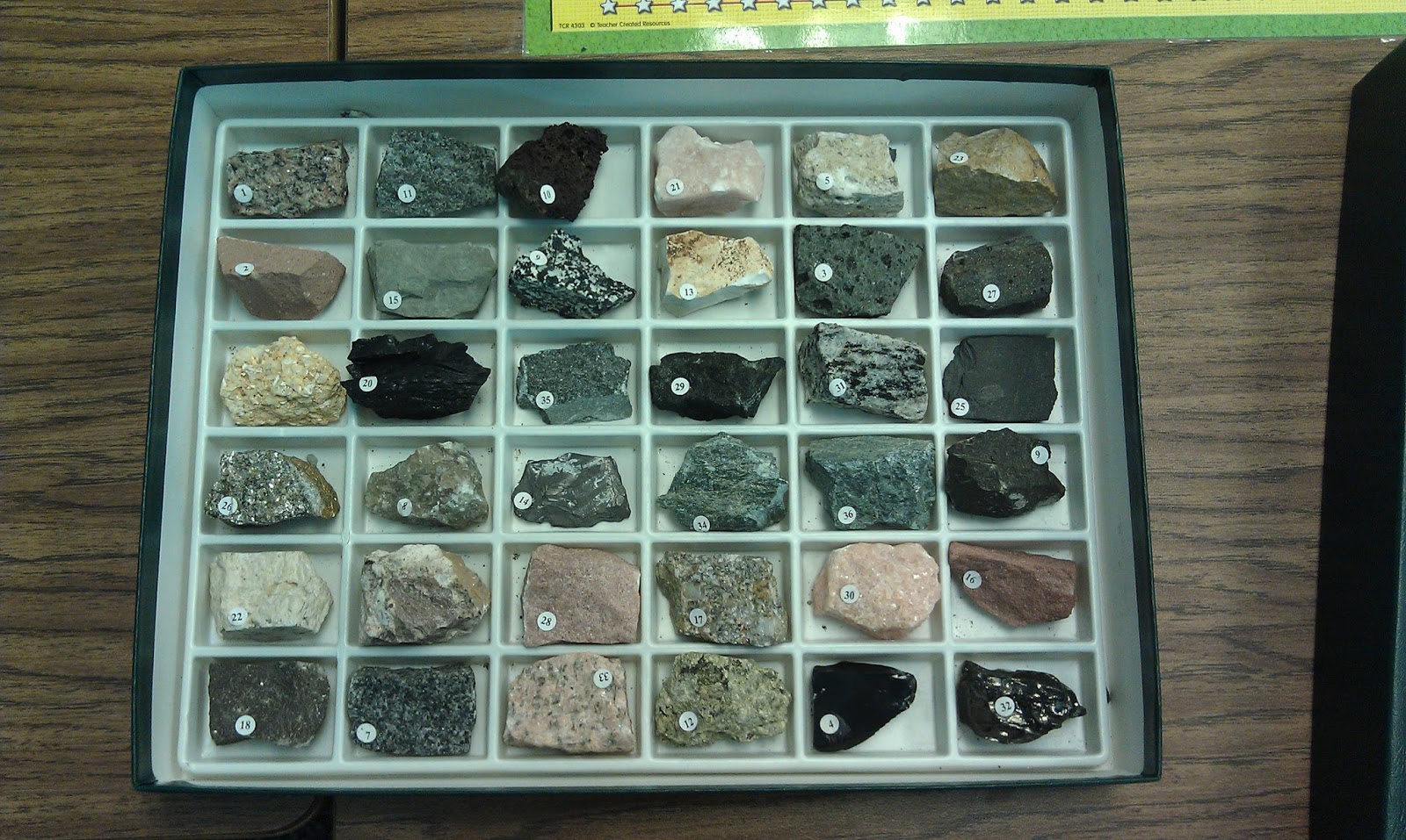 Mrs. Braun's 2nd Grade Class: Last week of September