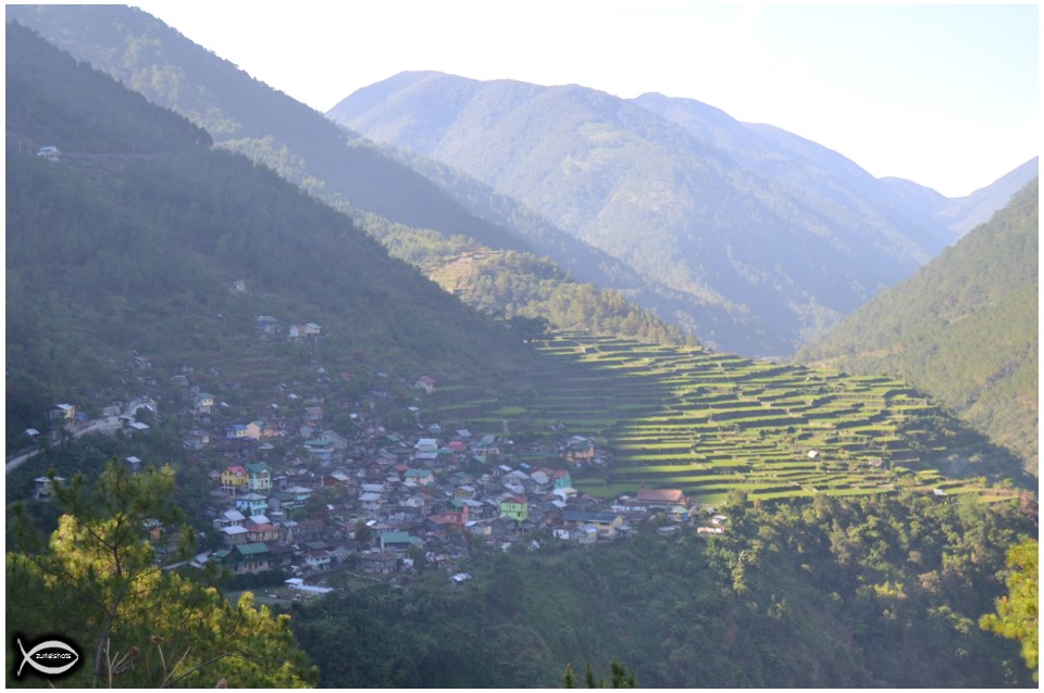 Zuriel Shots: Bayyo Rice Terraces