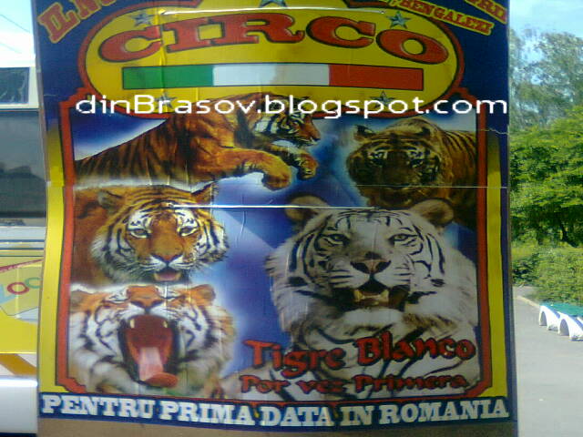 din Brasov: Spectacol de circ incepand cu Ziua Copilului