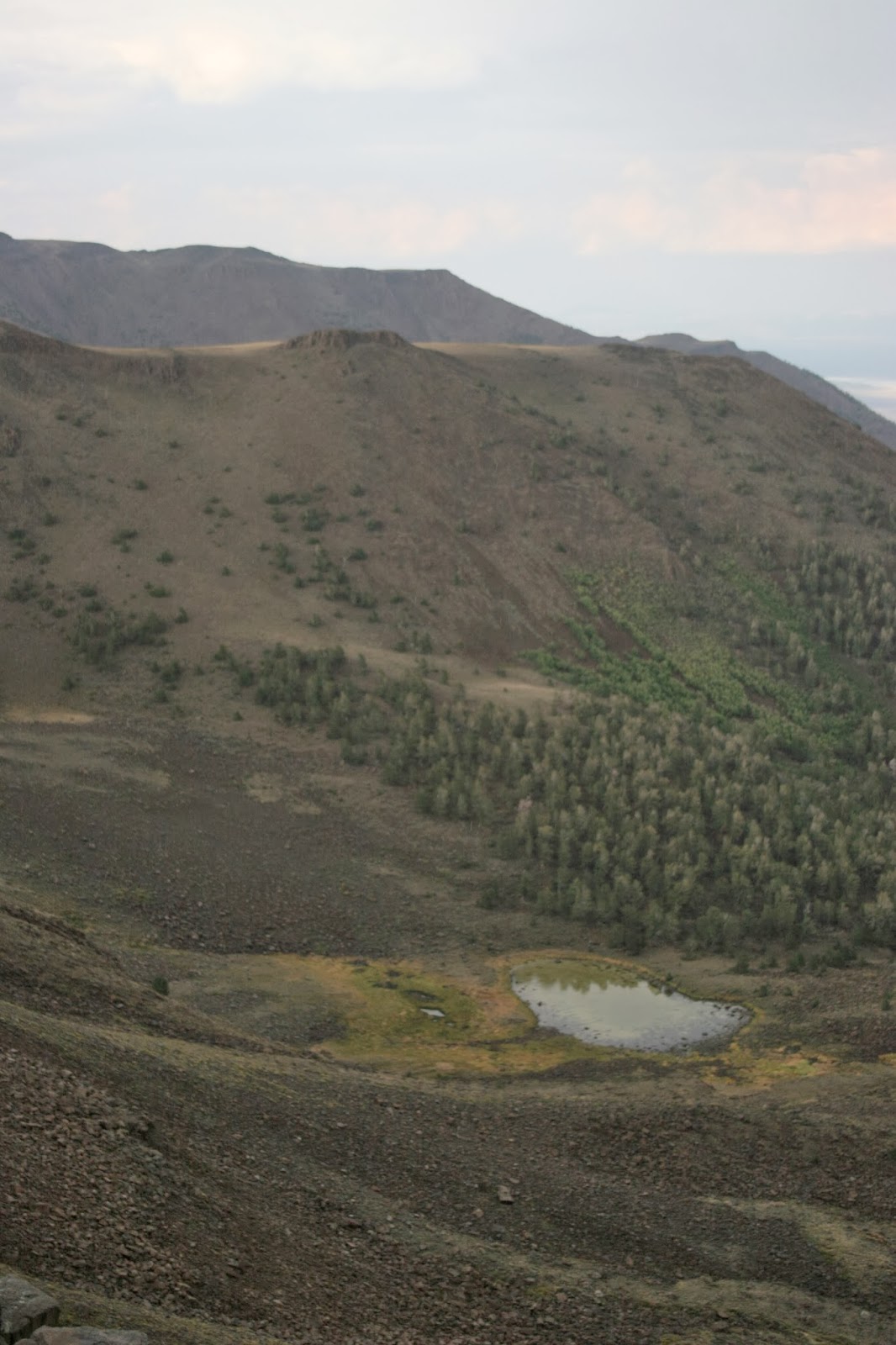 Great Basin Ute: Alta Toquima Wilderness, Nevada