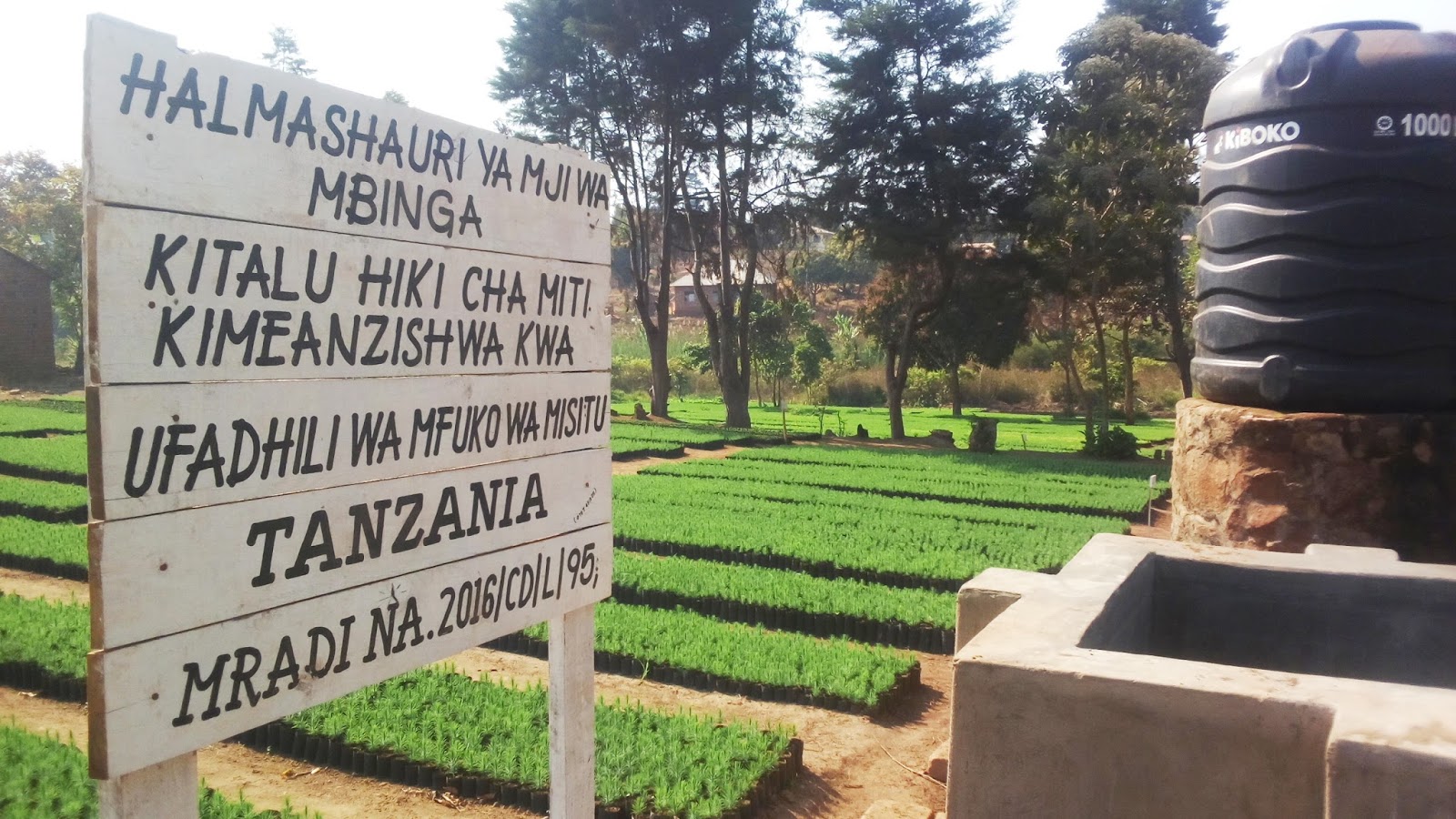 GWIJI LA MATUKIO RUVUMA: MRADI PANDA MITI KIBIASHARA KUWANUFAISHA ...