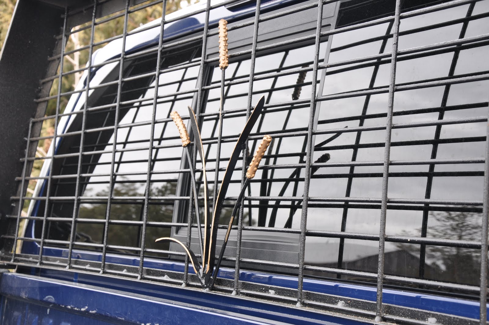 MICHAEL W. DESIGNS: Scruff Cab Guard