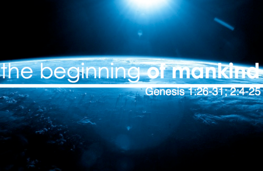 From the Blacksmith's Corner: The Seven Fundamental Principles of Genesis