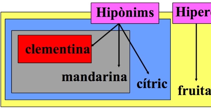 Llengua catalana 1: Hipònims i Hiperònims