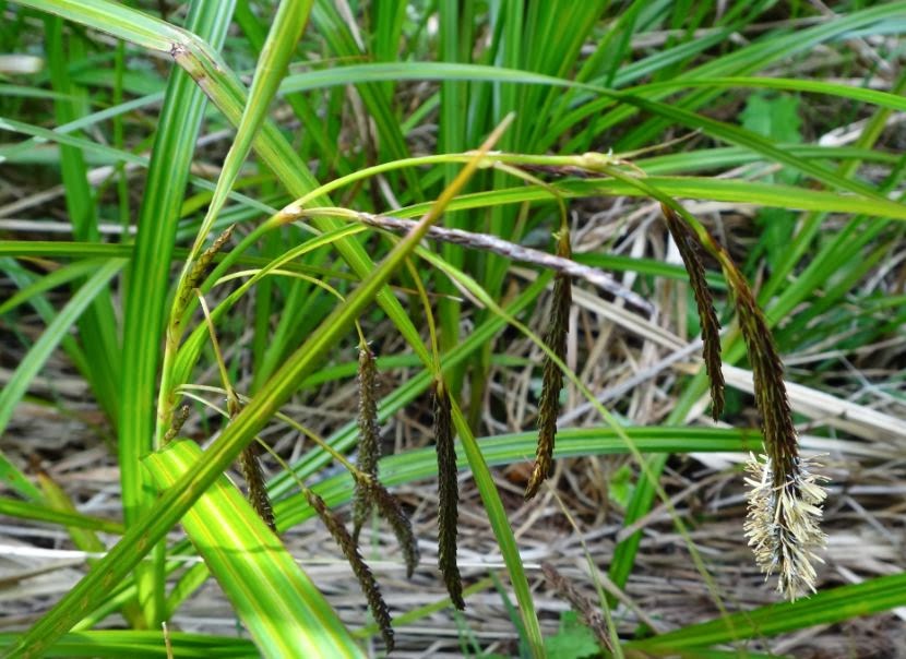 Backroader: November 2013