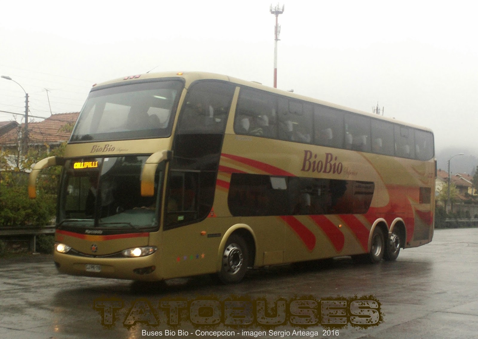 Buses Bio Bio: Buses Bio Bio