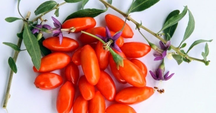Você aos 40!: Goji Berry, o Superalimento!