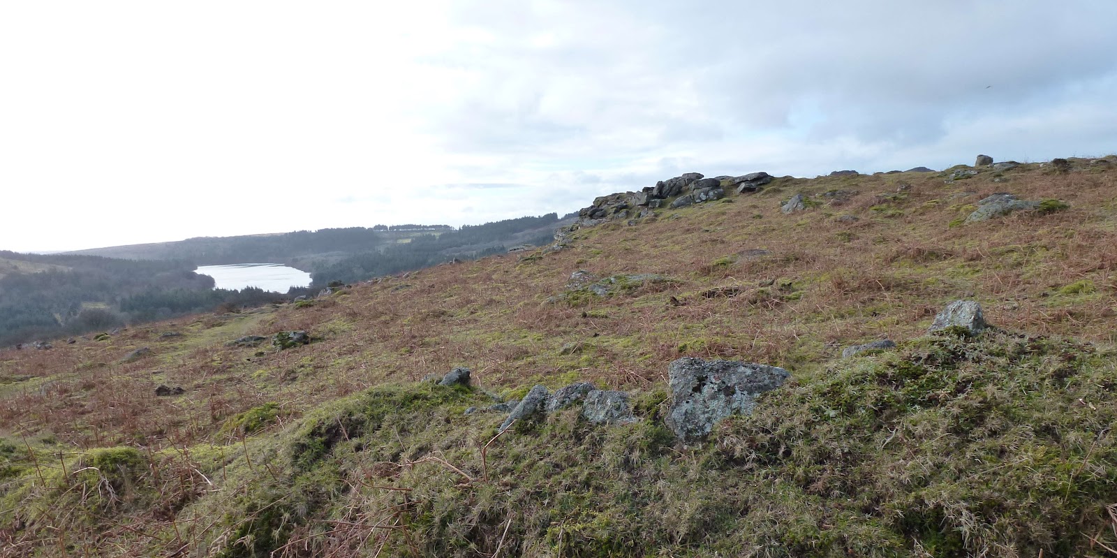 My Dartmoor Walks: Friday 17th February Down Tor