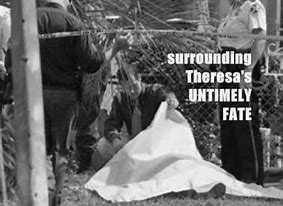 Book on Theresa Ferrara, Goodfella Tommy DeSimone's Alleged Girlfriend ...