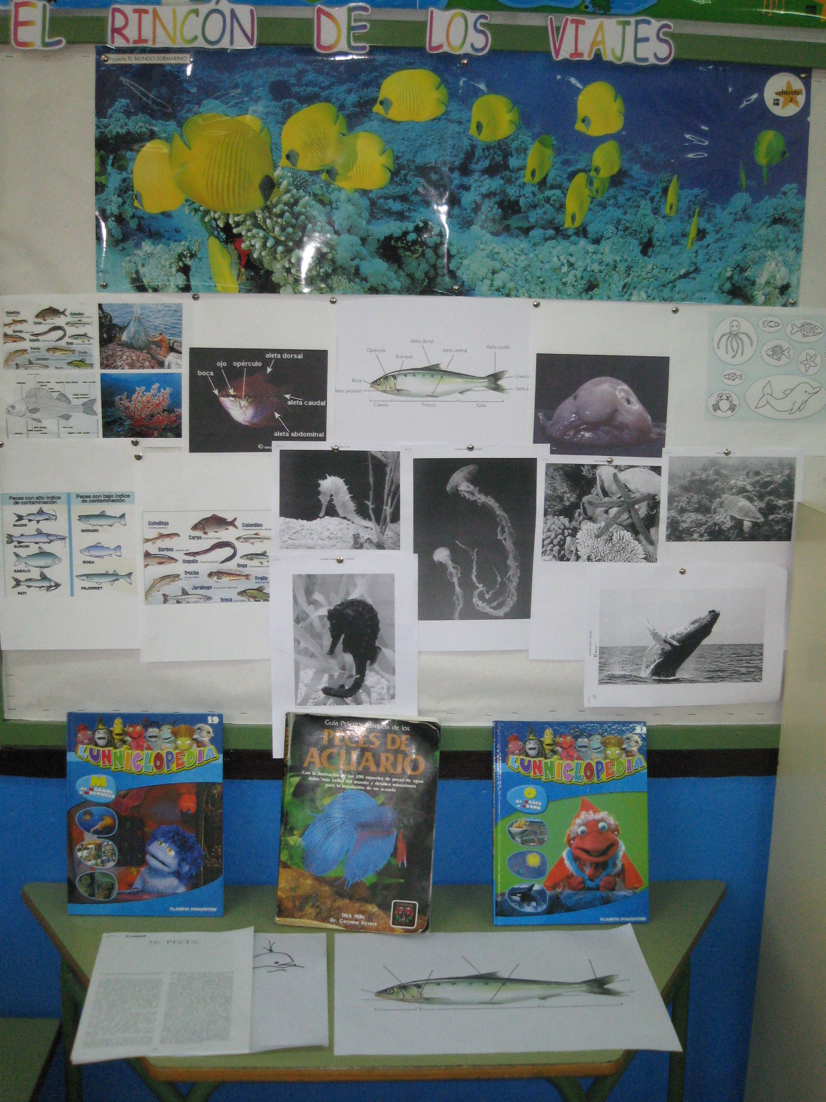 LA CLASE ENCANTADA: INVESTIGAMOS EL FONDO DEL MAR (Parte 2)