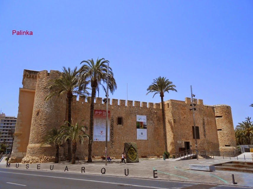 En Busca del Hada Azul: Elche