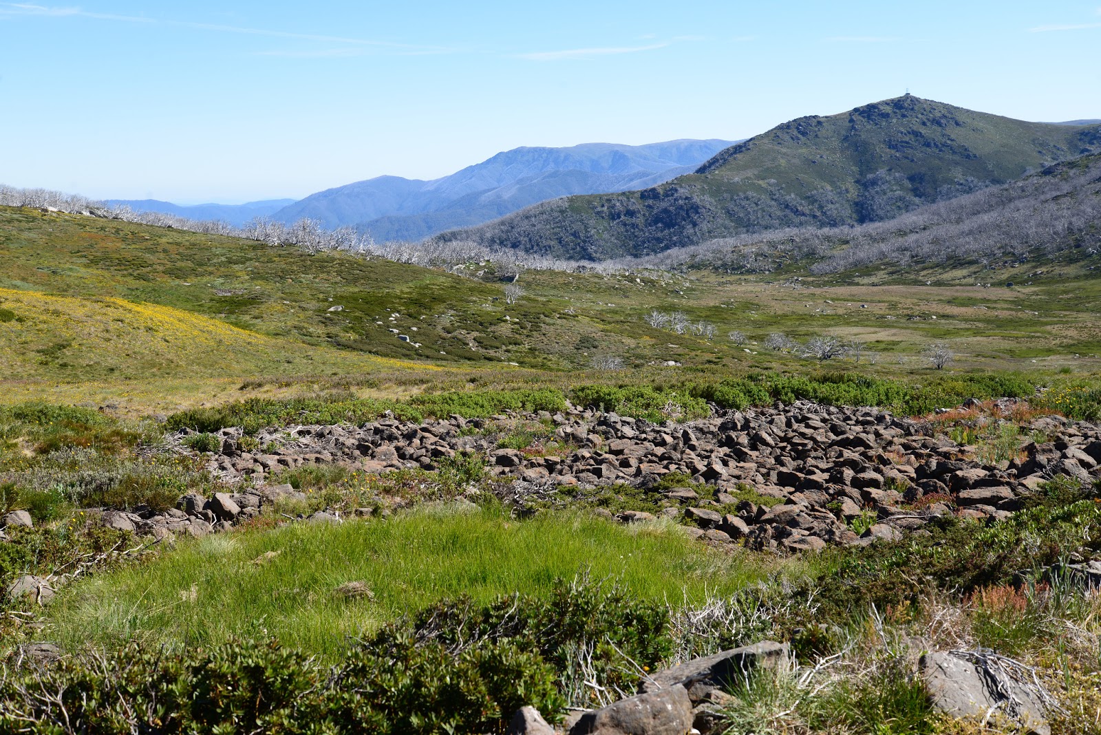 walkabouters club of victoria inc: Pretty Valley - Tawonga Huts - Mount ...