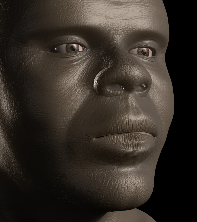 Marco Brusa, 3D generalist and photographer: WIP: Human head study