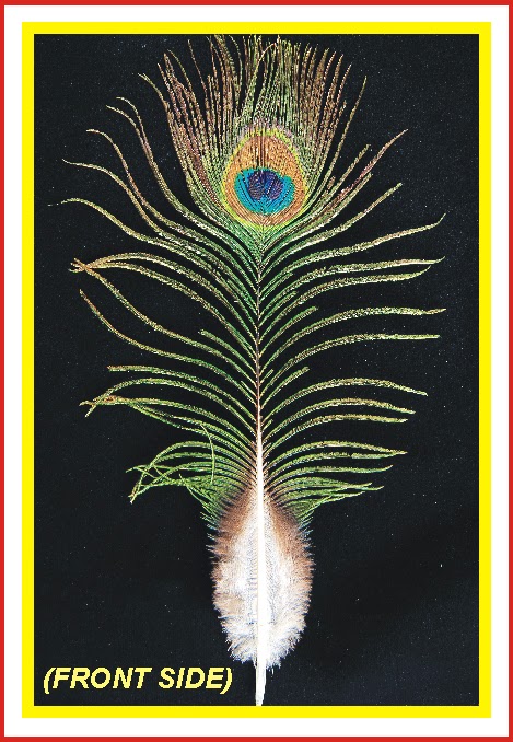 KRISHNA MORPANKH: KRISHNA MOR PANKH