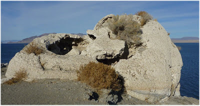 Trailing Ahead: Popcorn Rock at Pyramid Lake