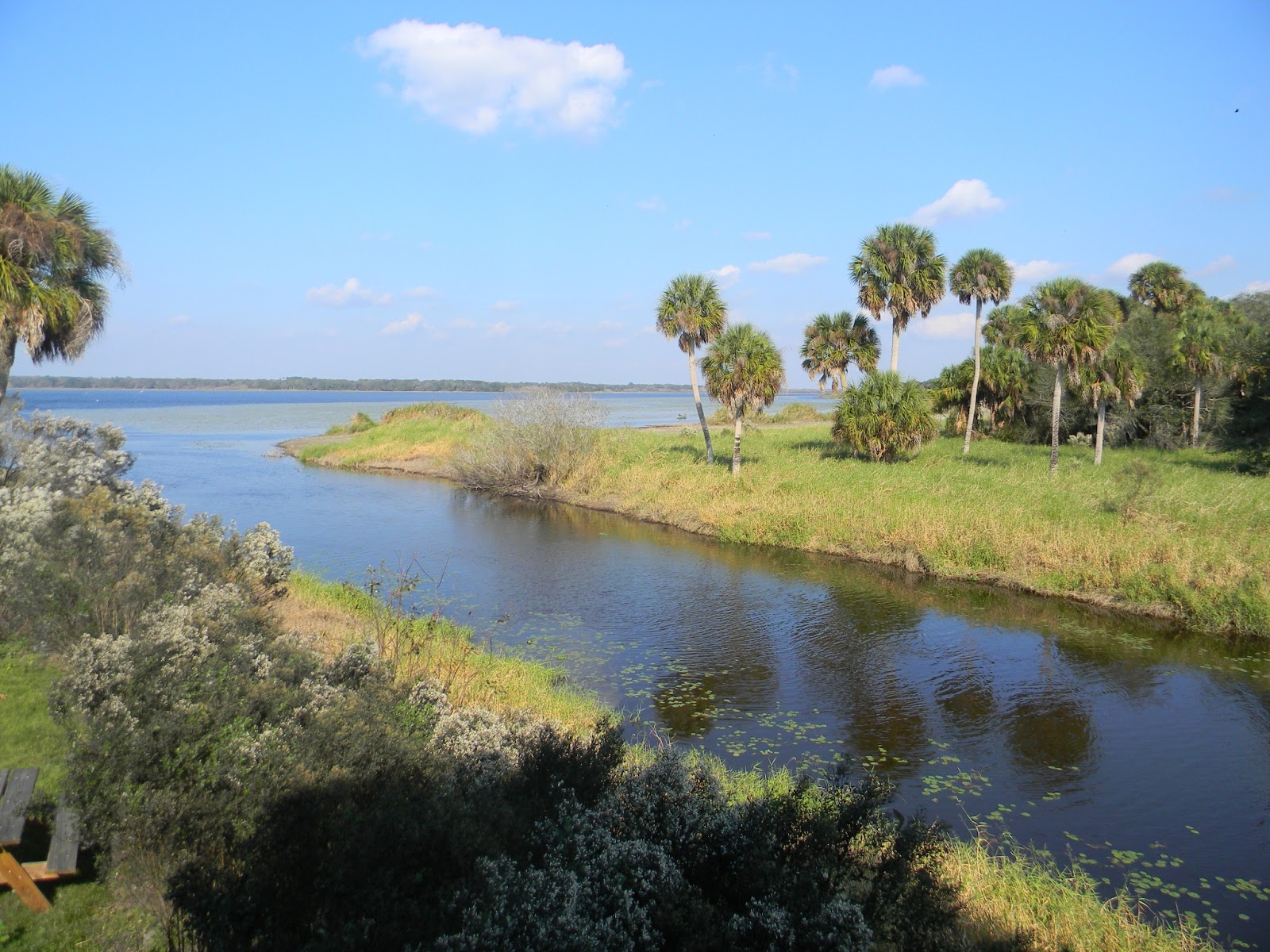 The "Unknown" Florida: Myakka River State Park - Sarasota, FL