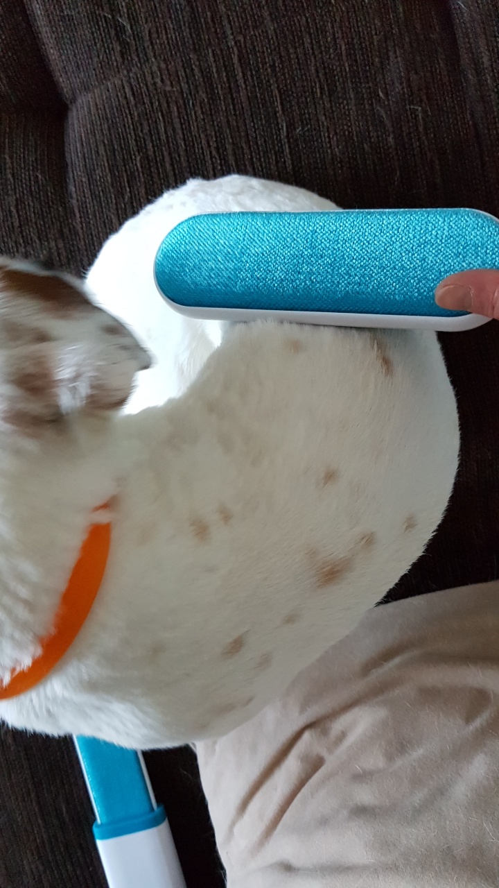 Mona's Blog: Haustier Fell Fussel Bürste Haarentferner Entfernen von ...