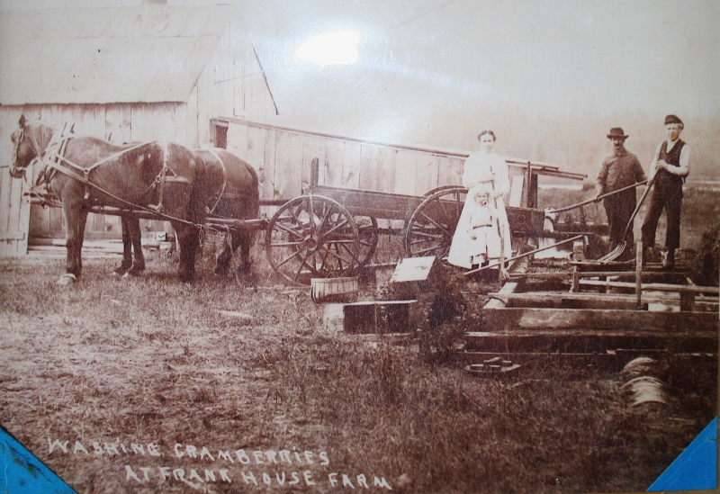 Birch Lodge Blog: The Centennial Cranberry Farm