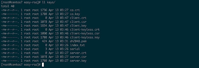 [CentOS 7] 使用 OpenVPN 實作 Client to Site VPN 連線 | IT 技術家