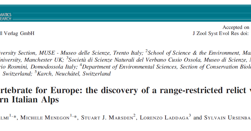 Stuart Marsden's Conservation Research Group: A new Viper for Europe ...