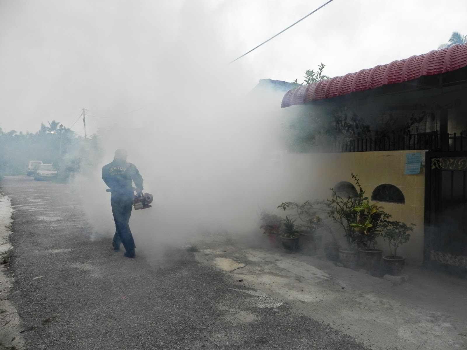 Reaktif: Semburan Asap: Cegah Denggi