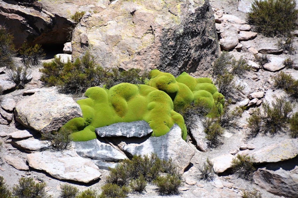 Travels - Ballroom Dancing - Amusement Parks: The wonder of nature at ...