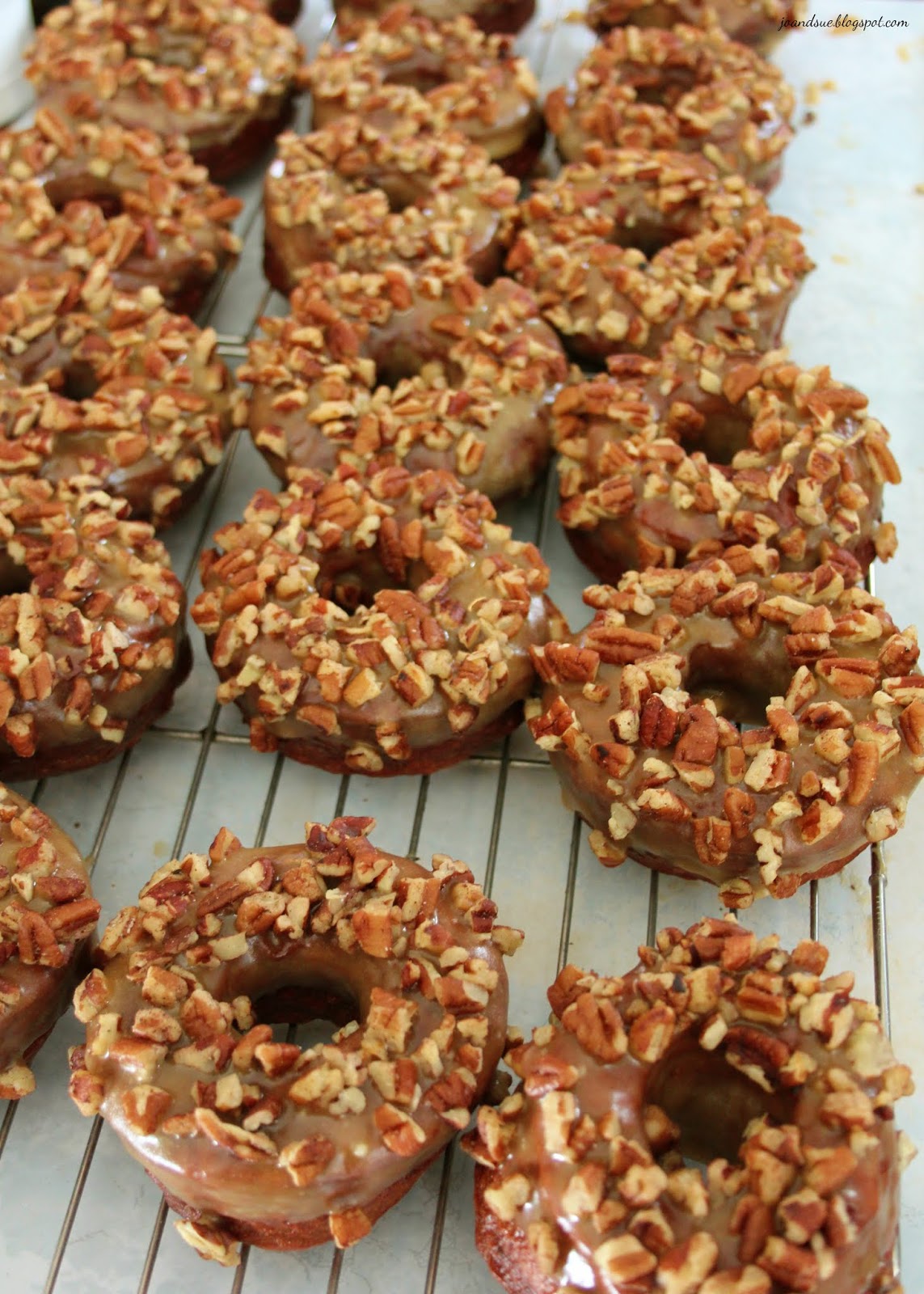 Jo and Sue: Turtle Donuts (Big Batch)