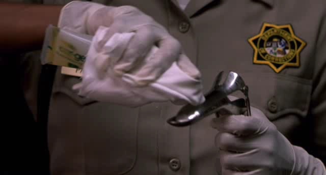 The Department of Afro American Research, Arts and Culture