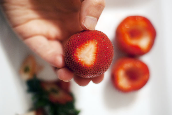 fox and gypsy: jello strawberita