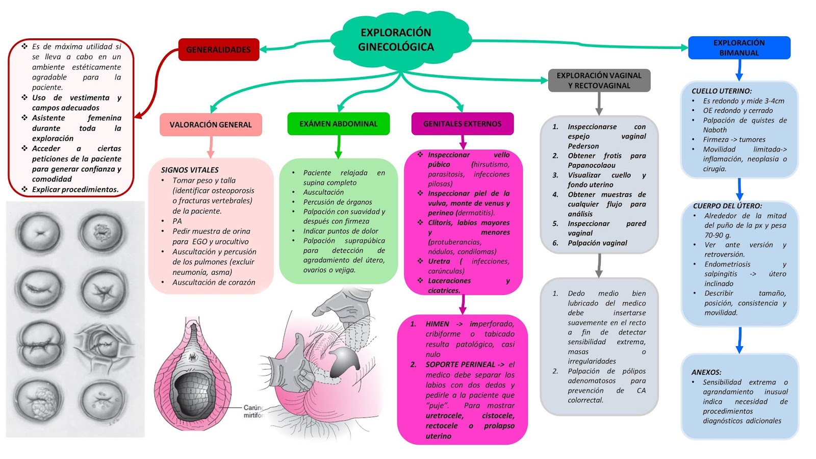 Ginecologia y obstetricia : octubre 2017