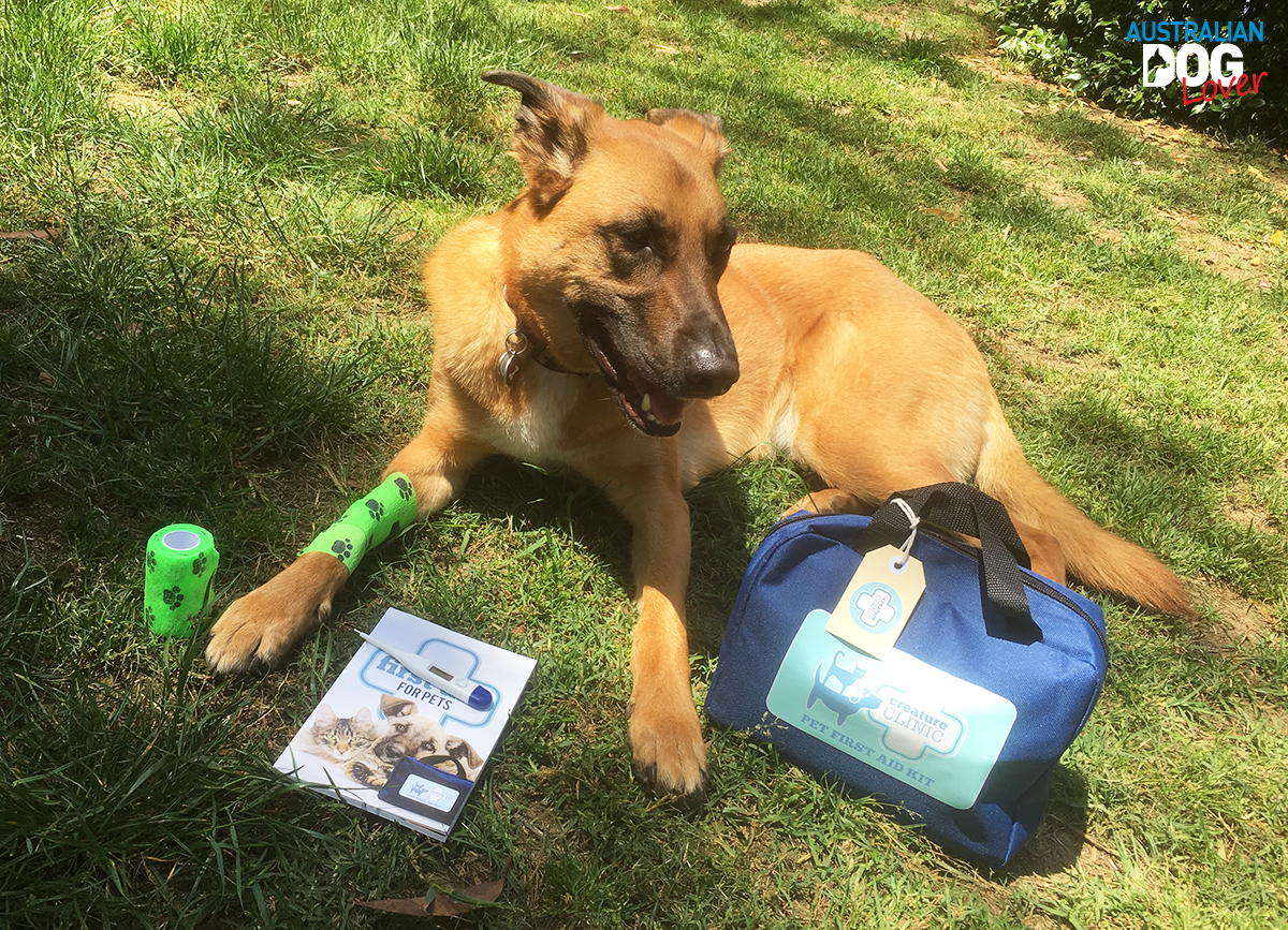 Dog First Aid: Quick Reference Guide | Australian Dog Lover